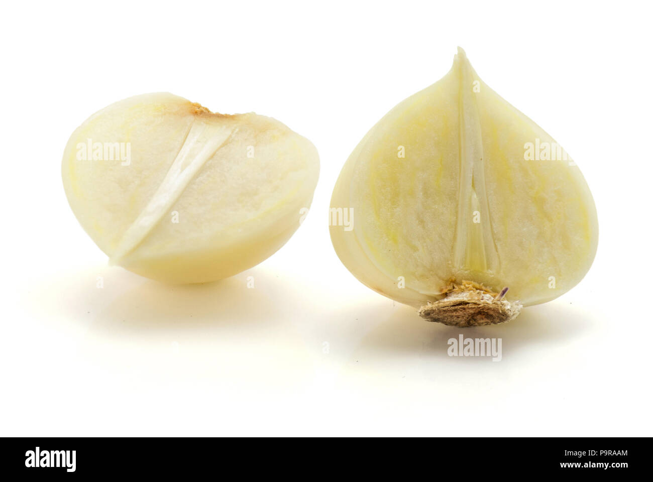 One halved solo garlic isolated on white background two halves Stock ...