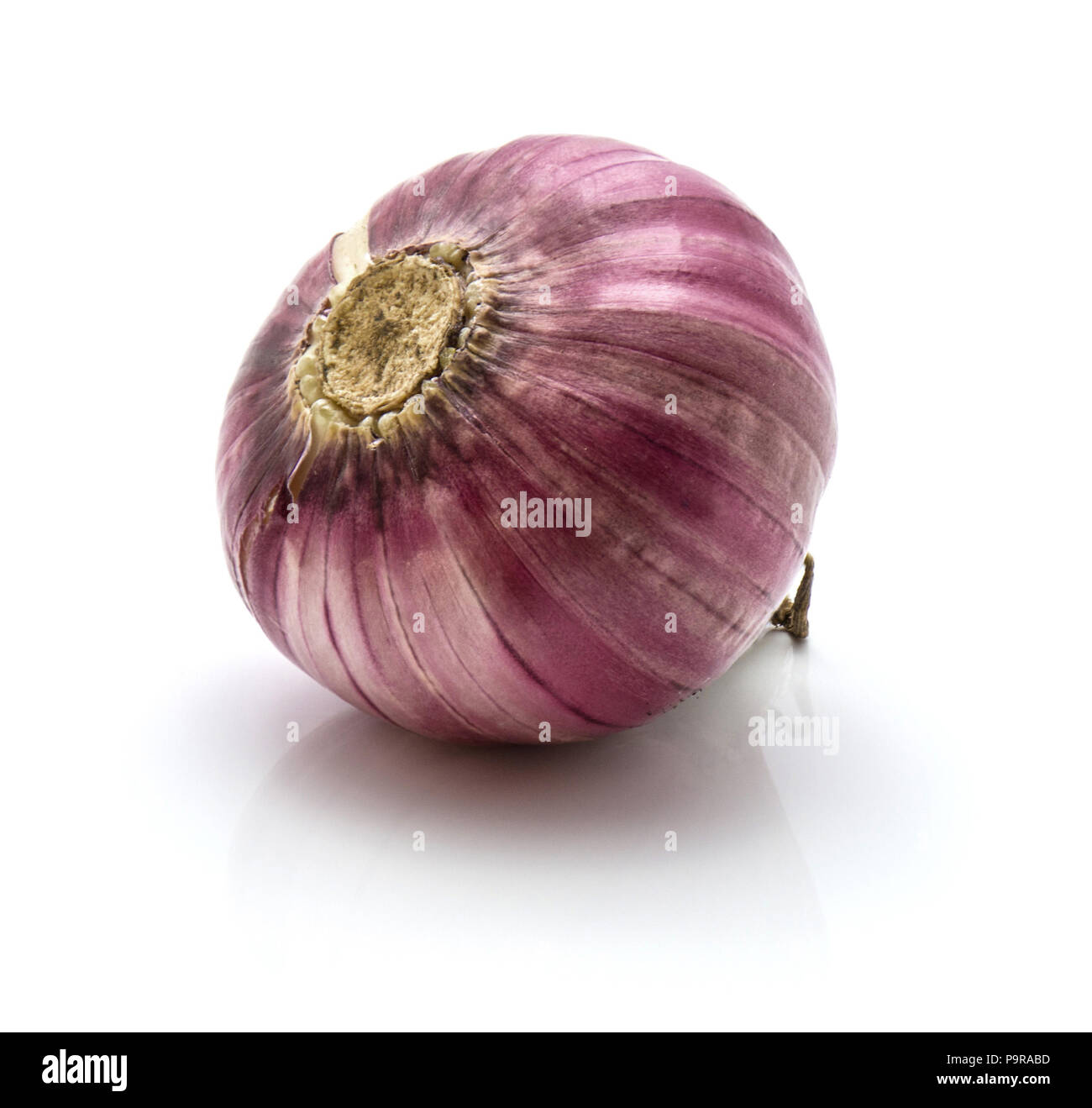 One whole single clove solo pearl garlic isolated on white background ...