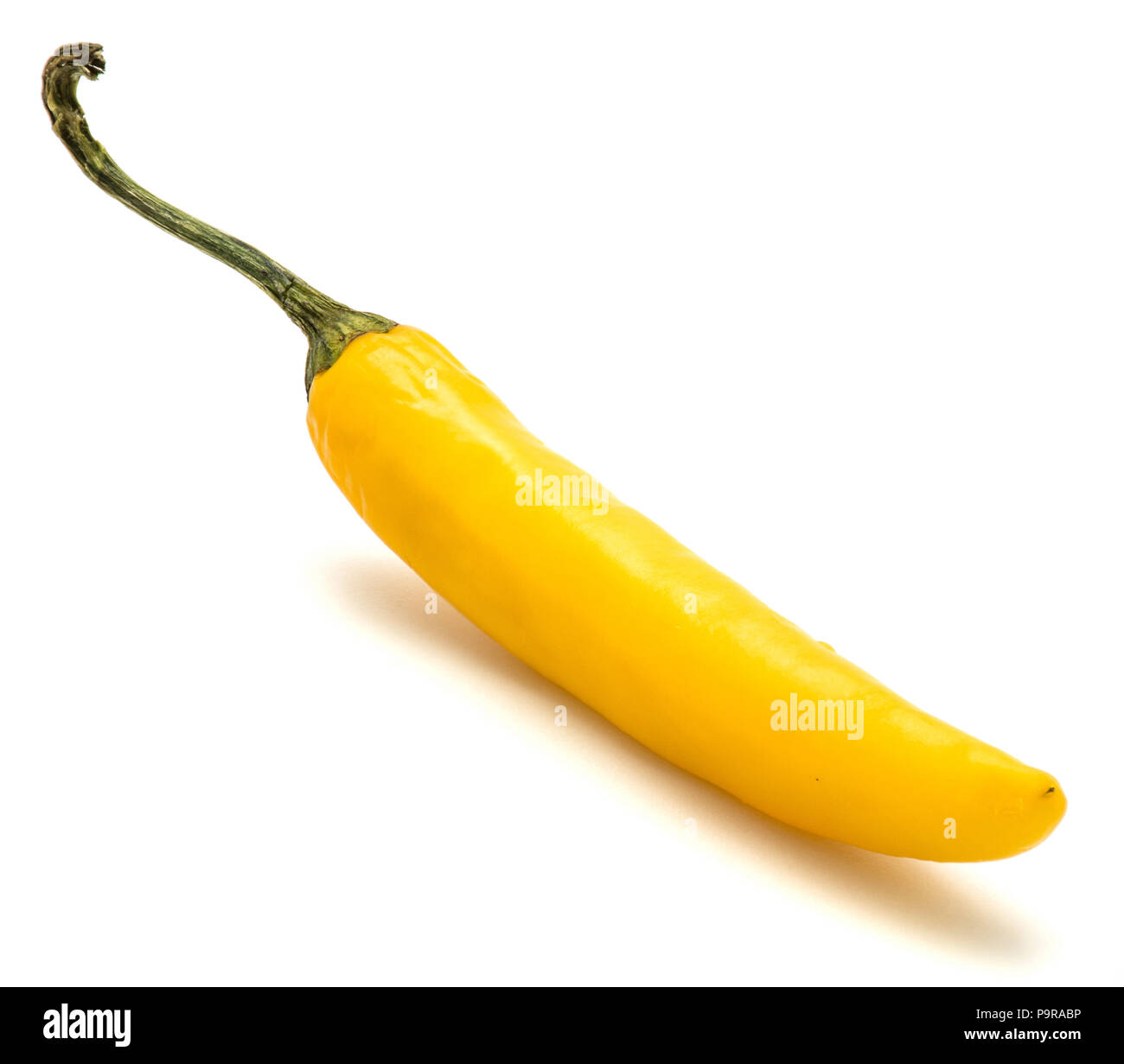 One yellow Chilli isolated on white background Stock Photo - Alamy