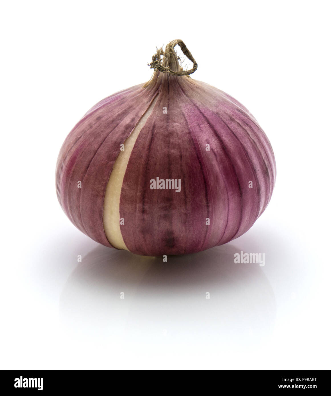 One whole single clove solo pearl garlic isolated on white background ...