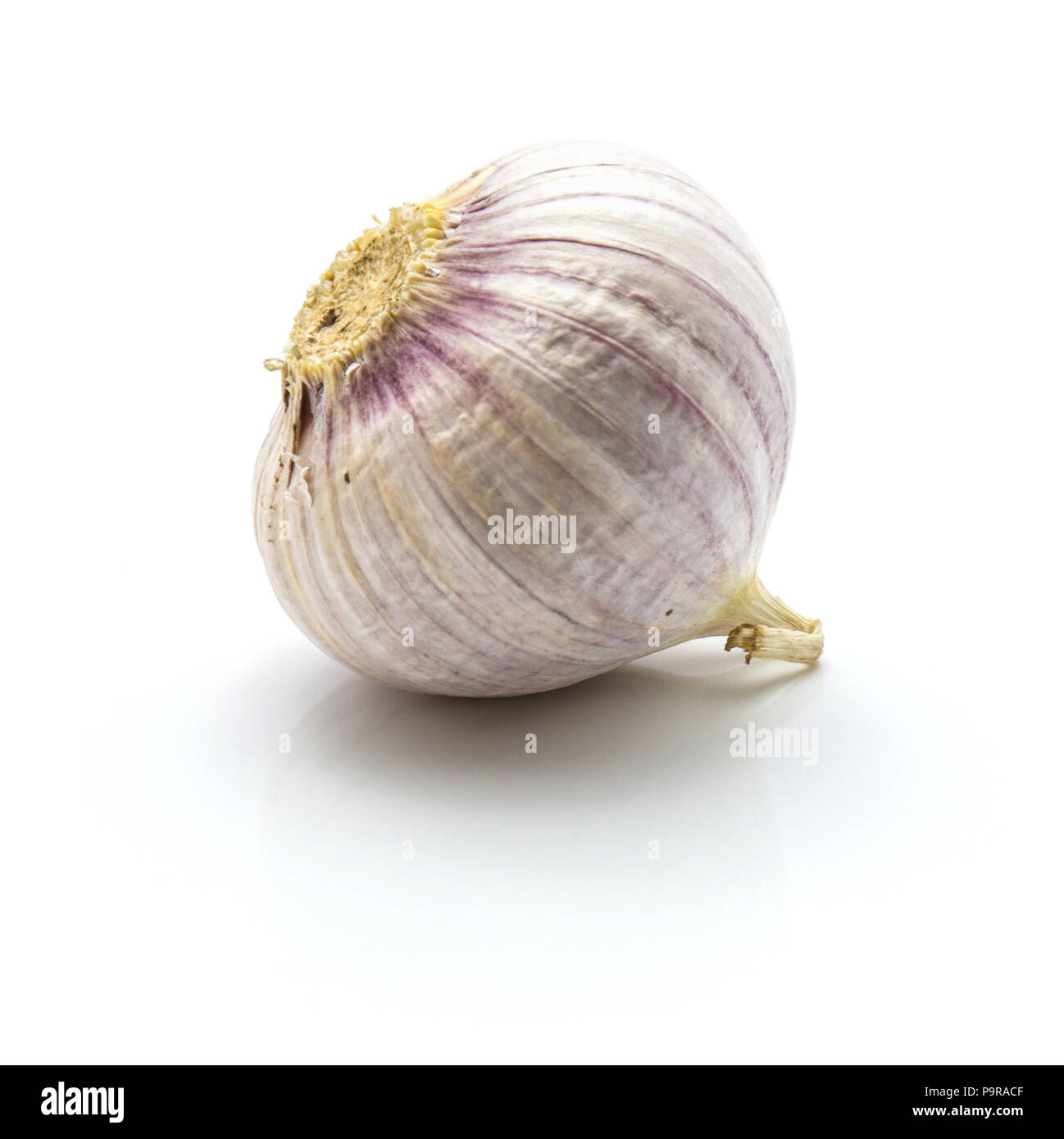 One whole single clove solo pearl garlic isolated on white background ...