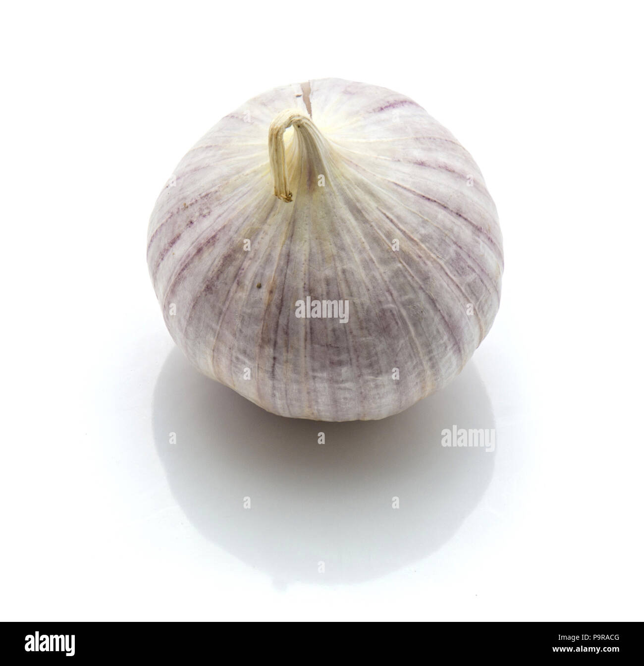 Top view of one solo pearl garlic isolated on white background Stock ...