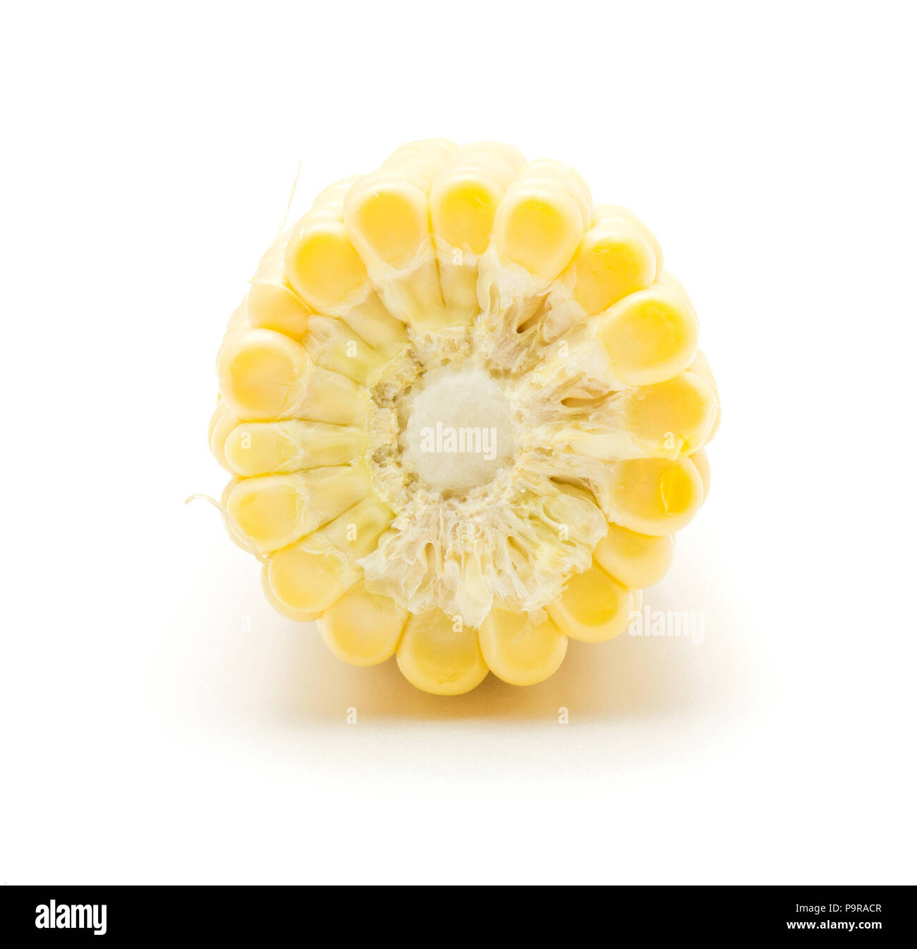 Sweet corn isolated on white background one cut piece in cross section ...