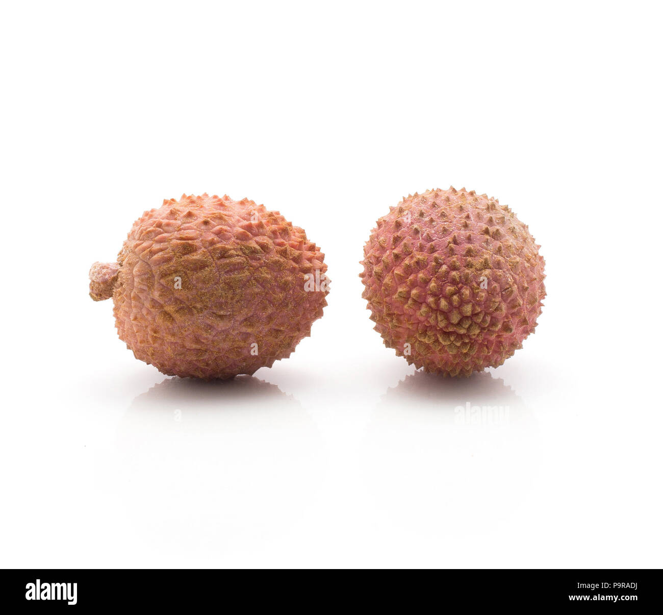 Tongue shell Cut Out Stock Images & Pictures - Alamy