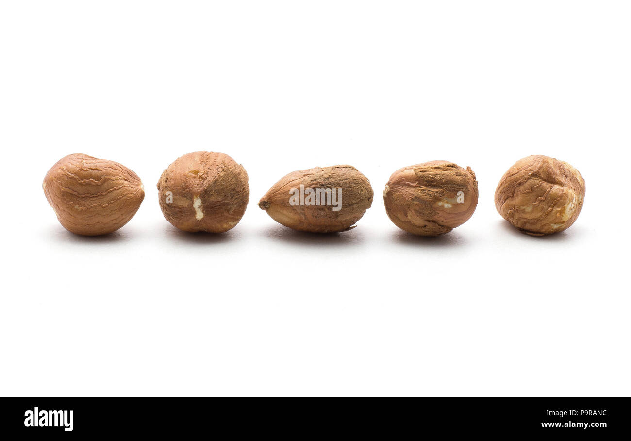 Five shelled hazelnuts in row isolated on white background Stock Photo ...