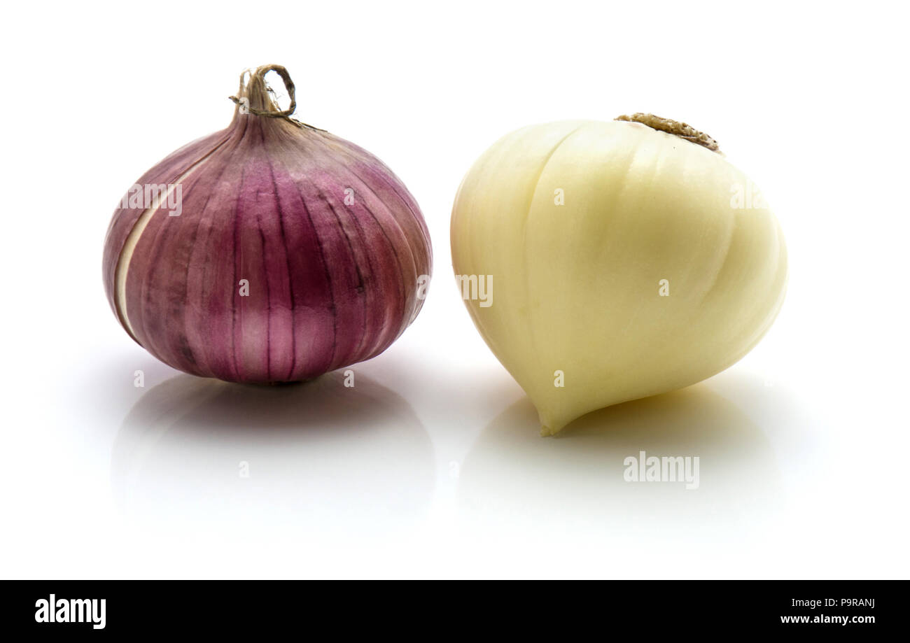 Two bulbs of solo garlic isolated on white background one bulb peeled ...