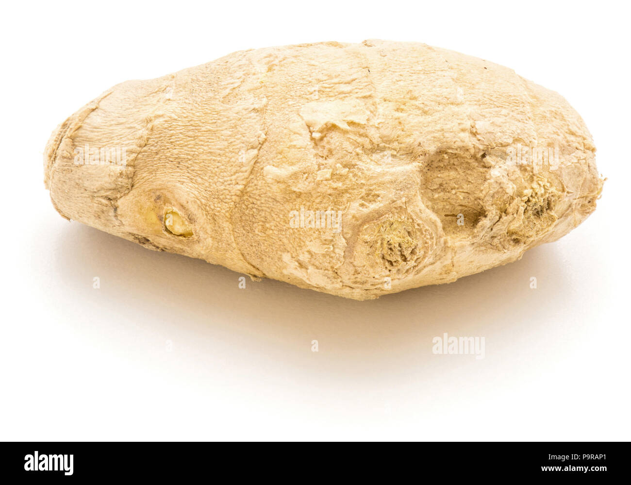 One small ginger rhizome isolated on white background Stock Photo - Alamy