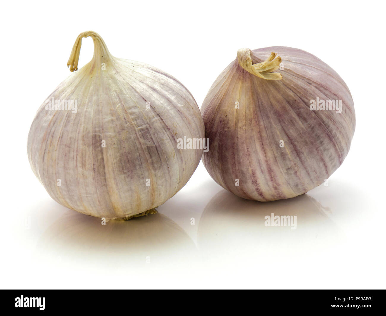 Two single clove solo pearl garlic isolated on white background Stock ...