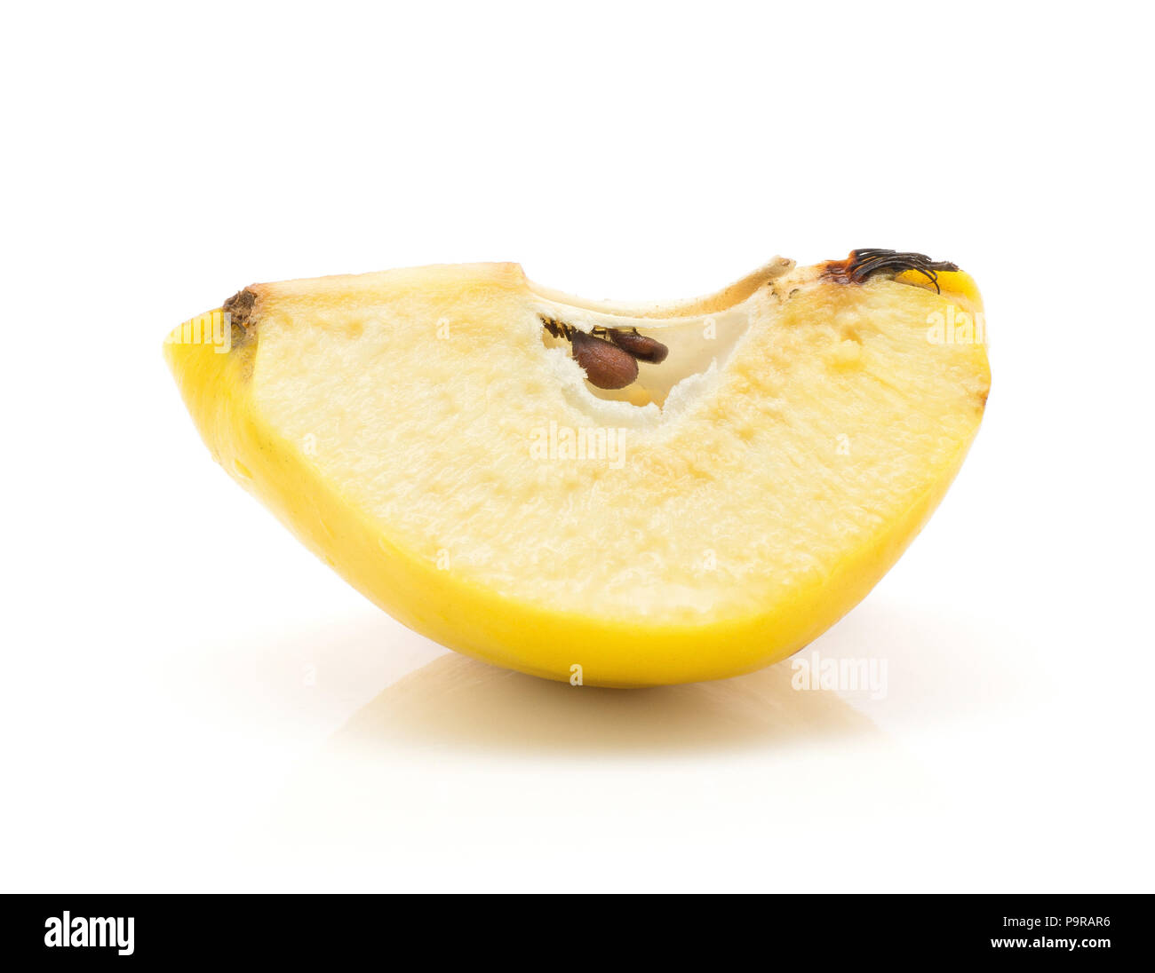 One yellow quince slice with seeds isolated on white background raw ...