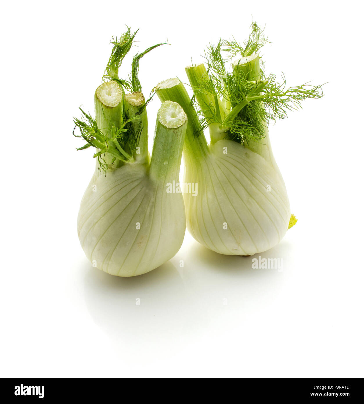 Florence fennel isolated on white background two bulbs Stock Photo - Alamy