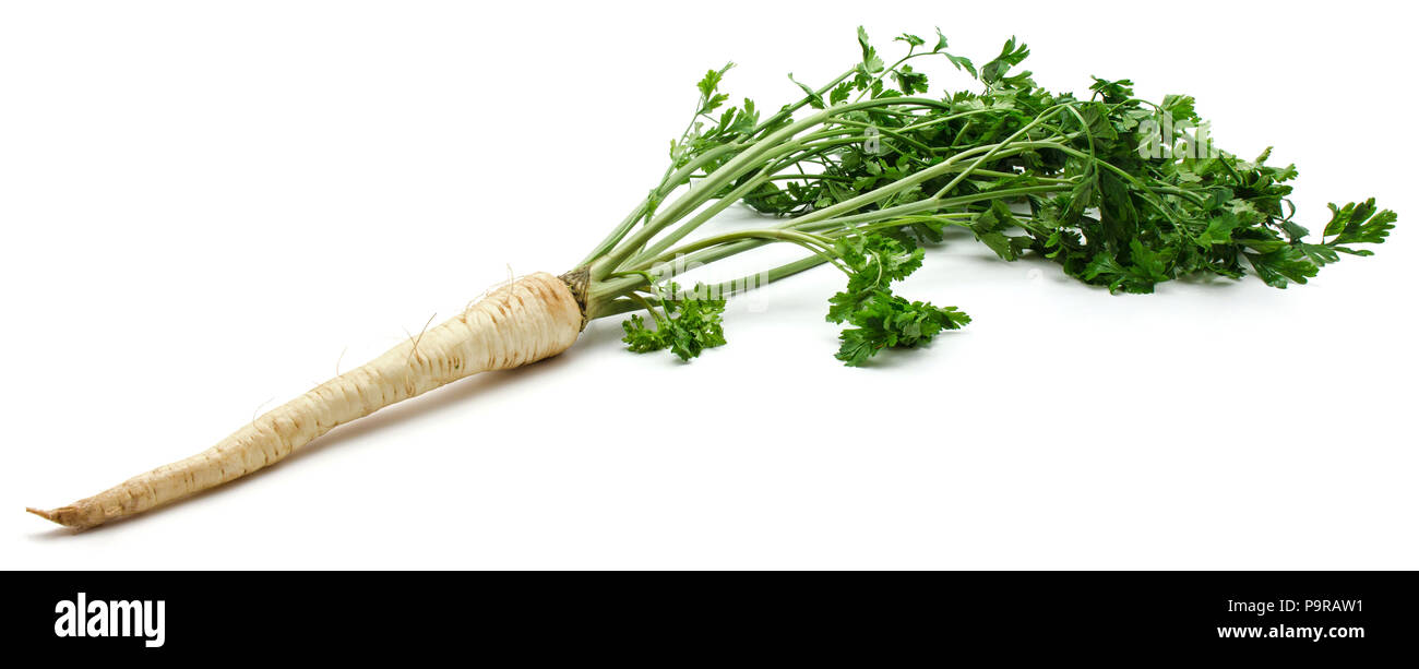 One whole fresh parsley root with leaves isolated on white background ...