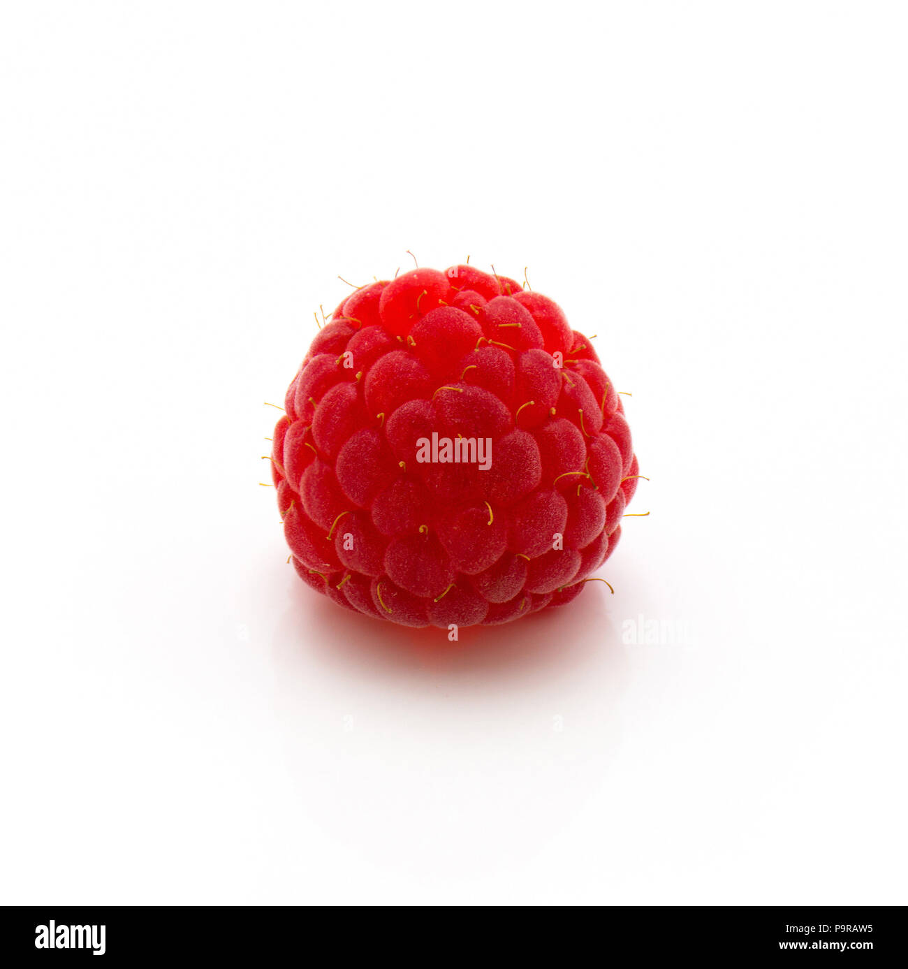 American red raspberry rubus idaeus hi-res stock photography and images ...