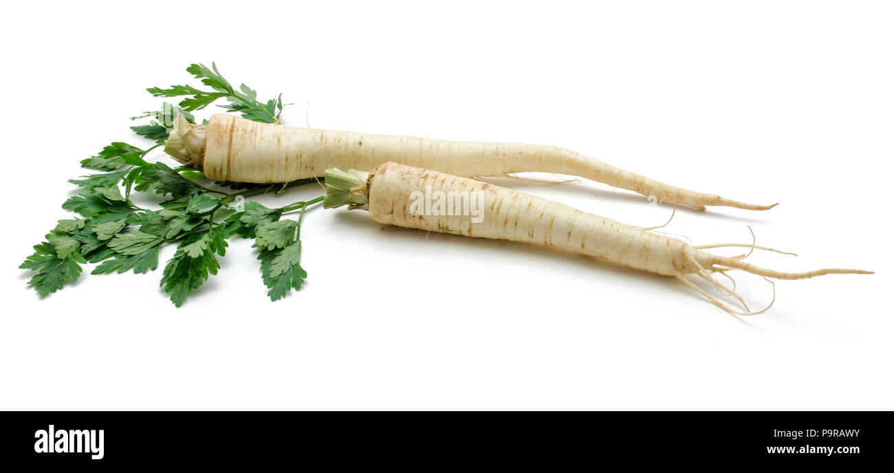Two whole parsley root with leaves isolated on white background Stock ...