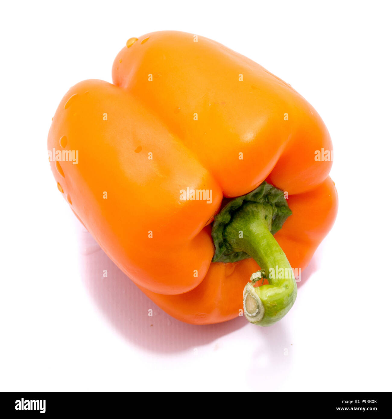 One orange pepper on back, isolated on white background Stock Photo - Alamy