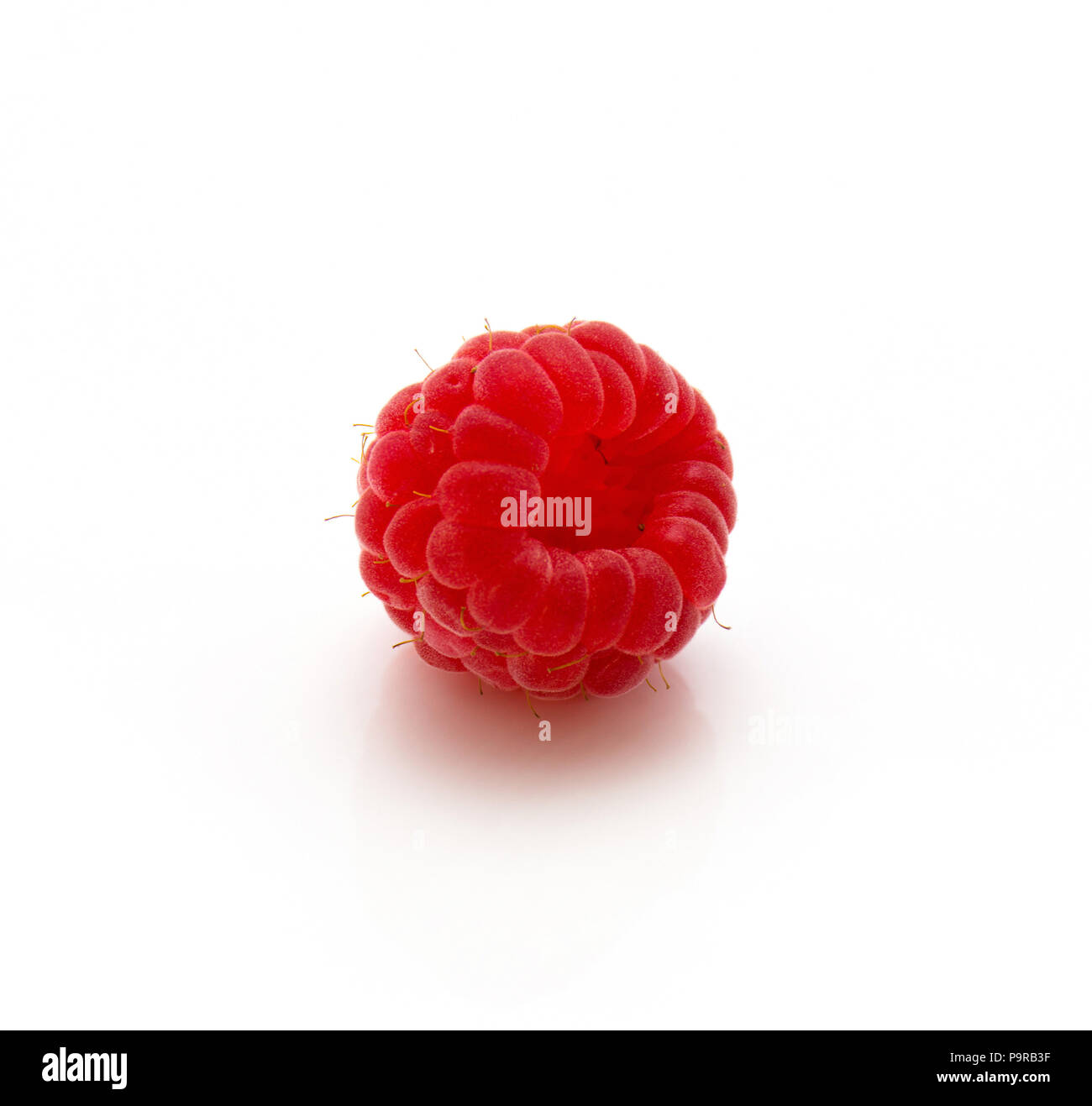 American red raspberry rubus idaeus hi-res stock photography and images ...