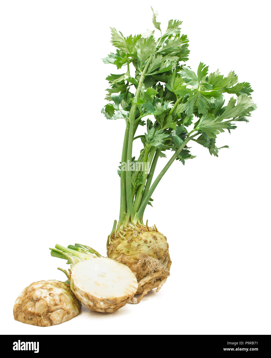 Fresh celery root isolated on white background one whole and sliced two ...