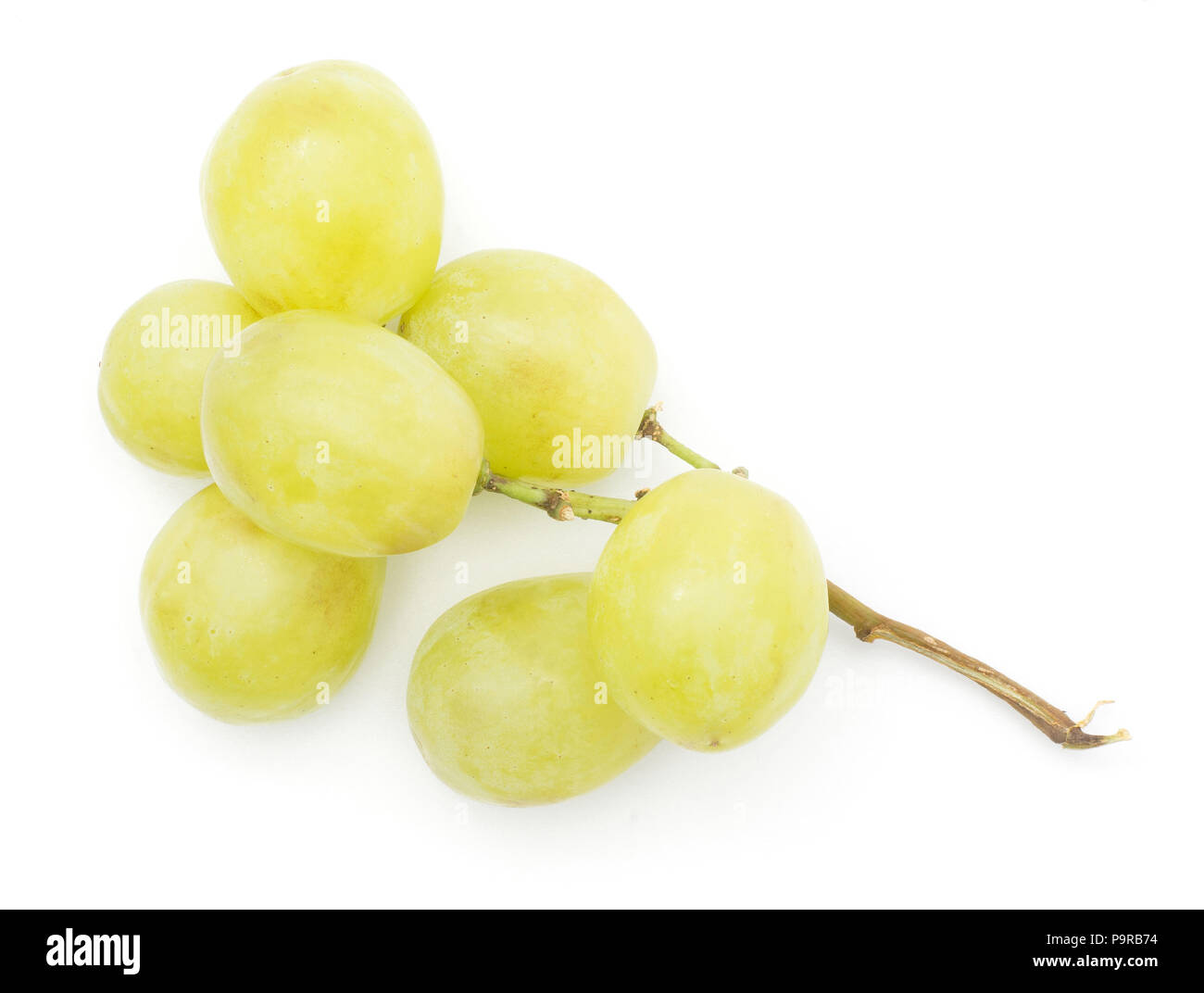 One green grape bunch (Early Sweet or Grapaes variety) top view ...