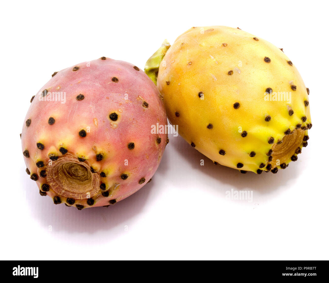 Two whole prickly pears, orange and red isolated on white background ...