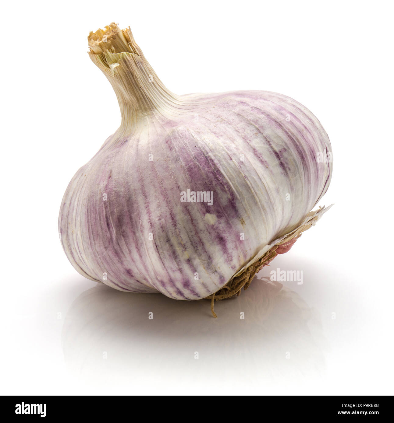 One whole garlic bulb isolated on white background Stock Photo - Alamy