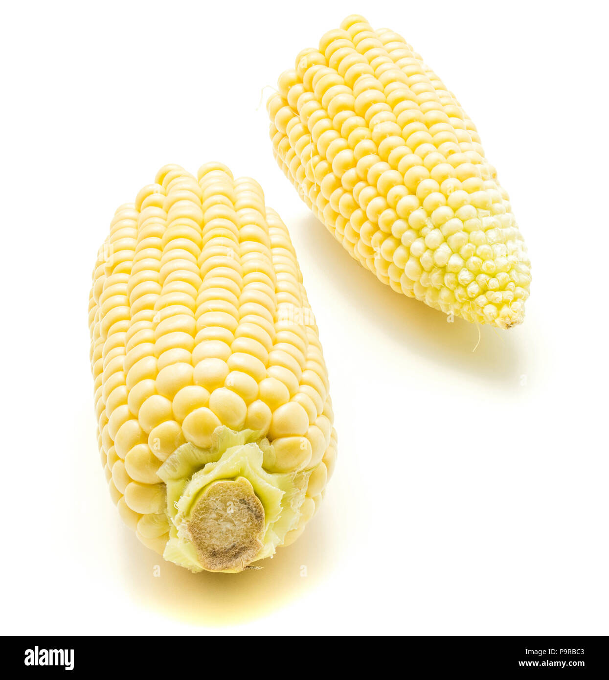 Two halves of corn on the cob isolated on white background Stock Photo ...