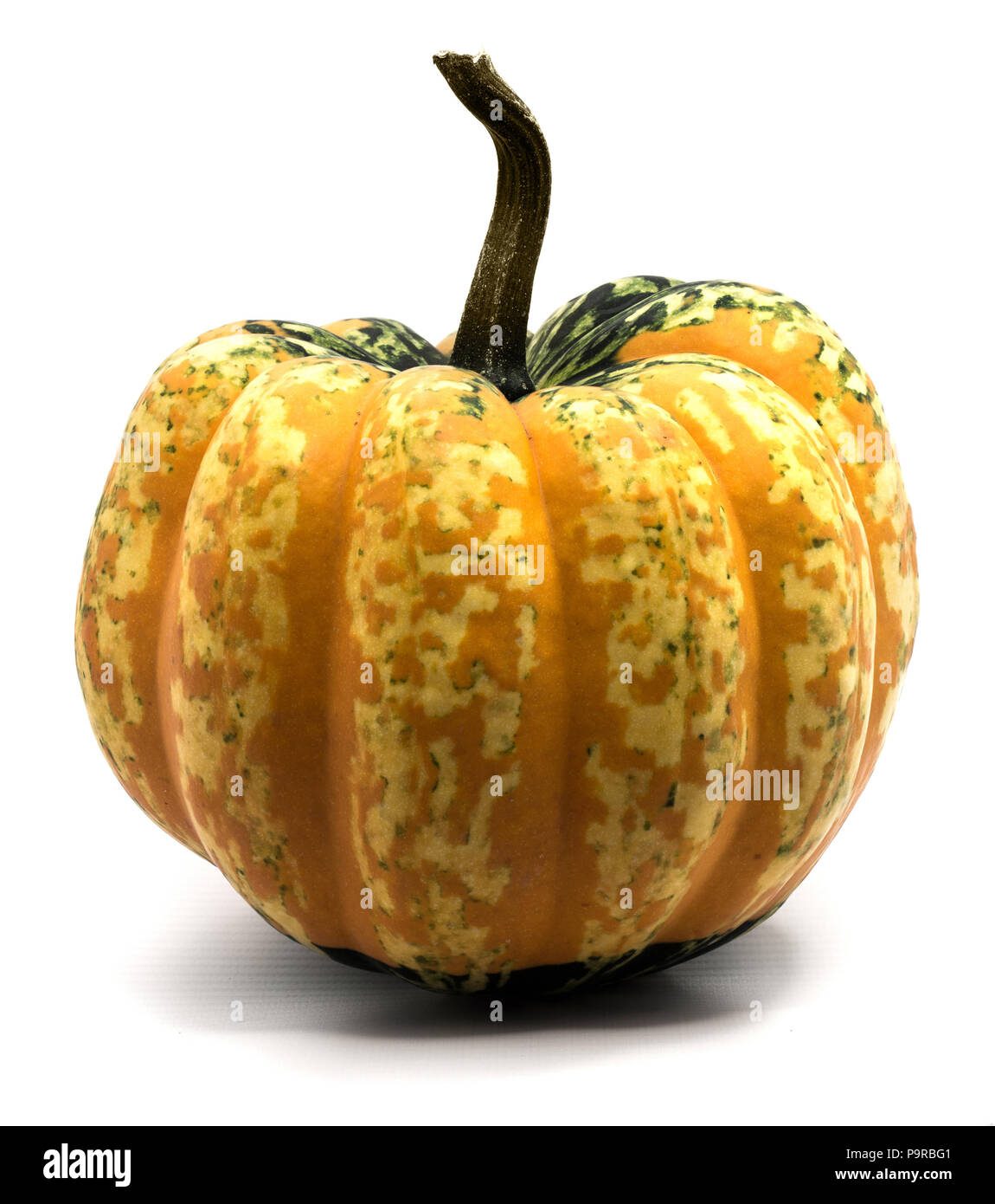 One whole colorful pumpkin (spotty dark green yellow) isolated on white ...