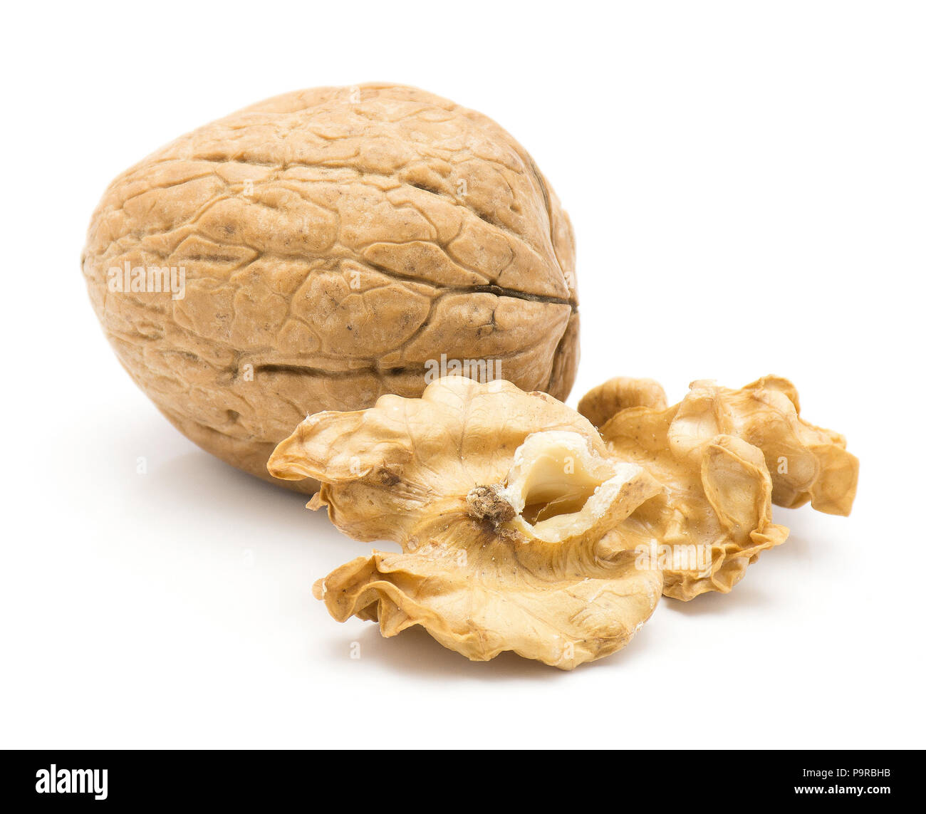 Wrinkly walnut shell hi-res stock photography and images - Alamy
