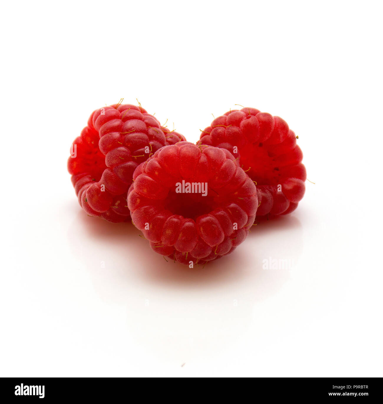 American red raspberries rubus idaeus hi-res stock photography and ...