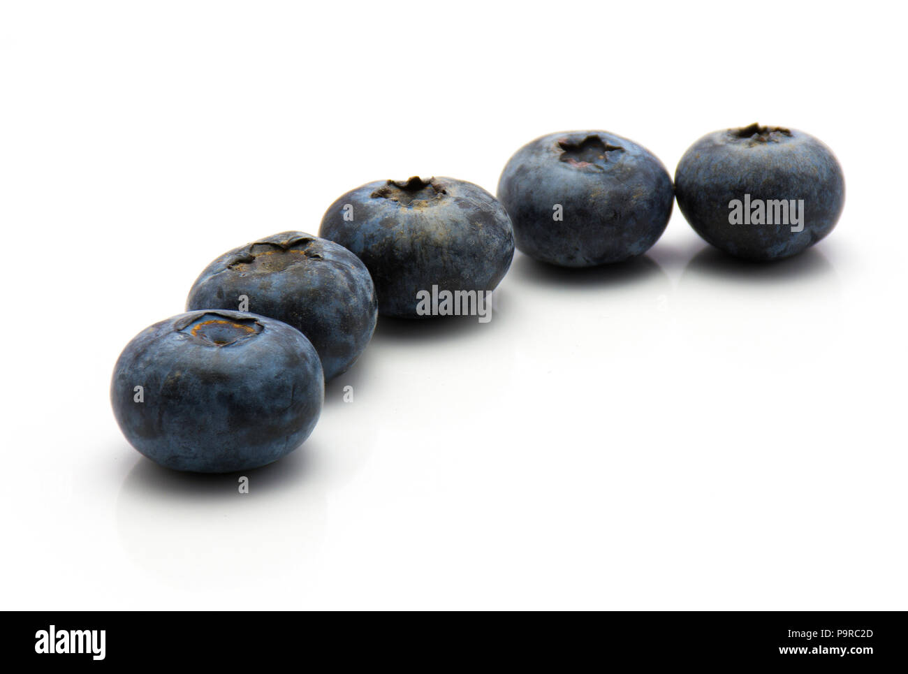 Bog blueberries isolated on white background five in row Stock Photo ...