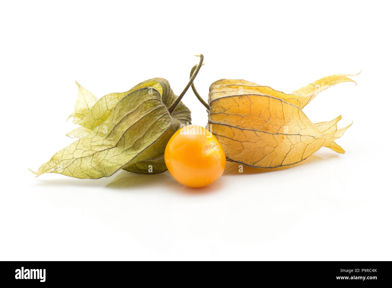 Strawberry tomato physalis alkekengi hi-res stock photography and ...