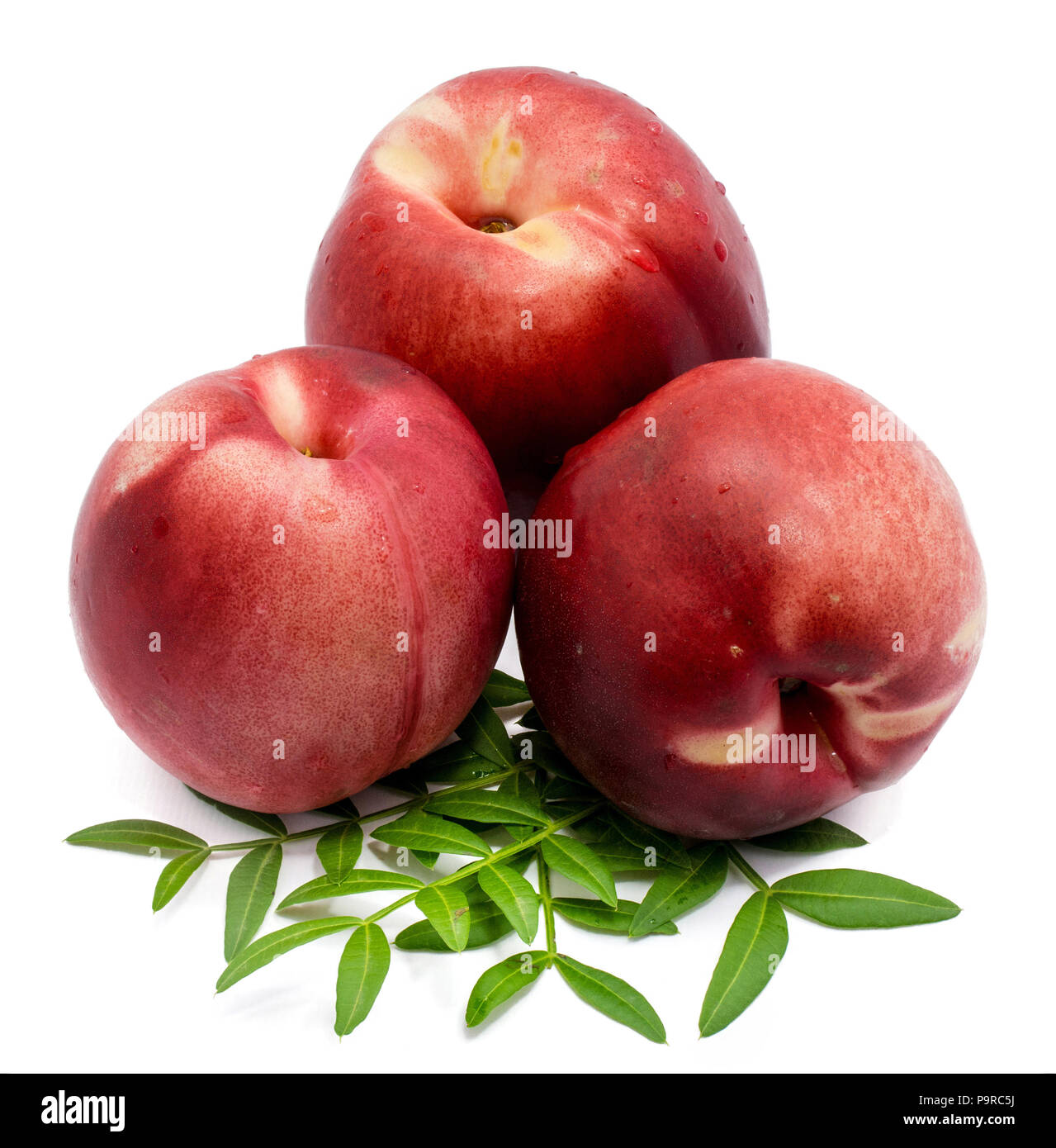 Three whole white nectarine on fresh green leaves isolated on white ...