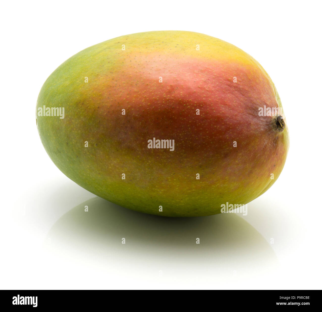 One mango isolated on white background Stock Photo - Alamy