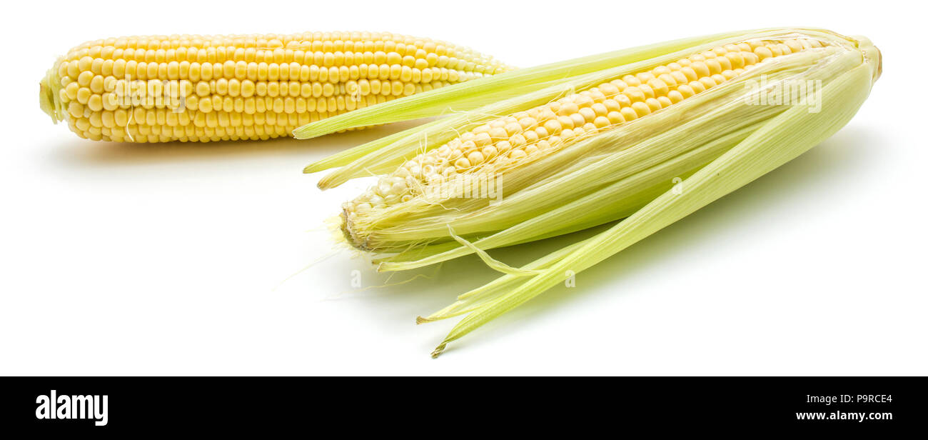 Two fresh sweet corn isolated on white background Stock Photo - Alamy