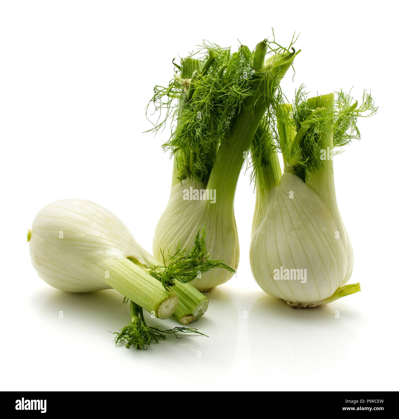 Florence Fennel Bulbs at Clyde Rucker blog