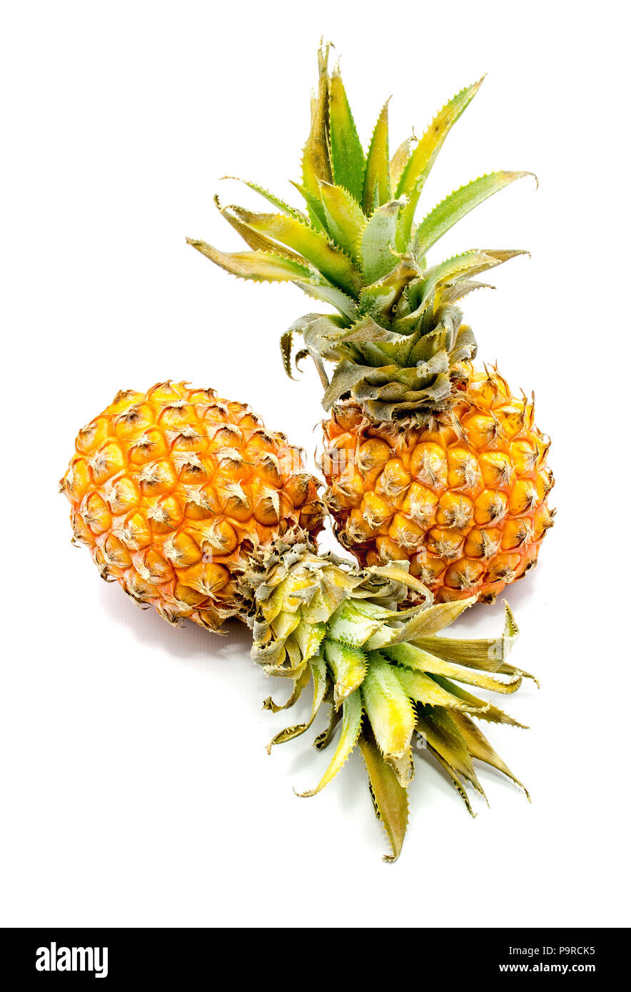 Two whole pineapples isolated on white background Stock Photo - Alamy