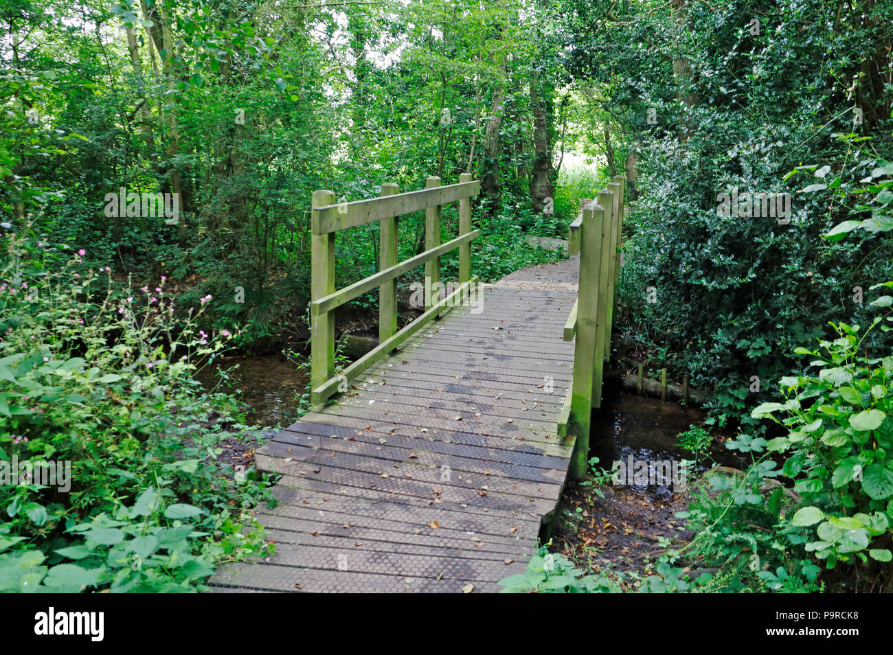 Southrepps hi-res stock photography and images - Alamy