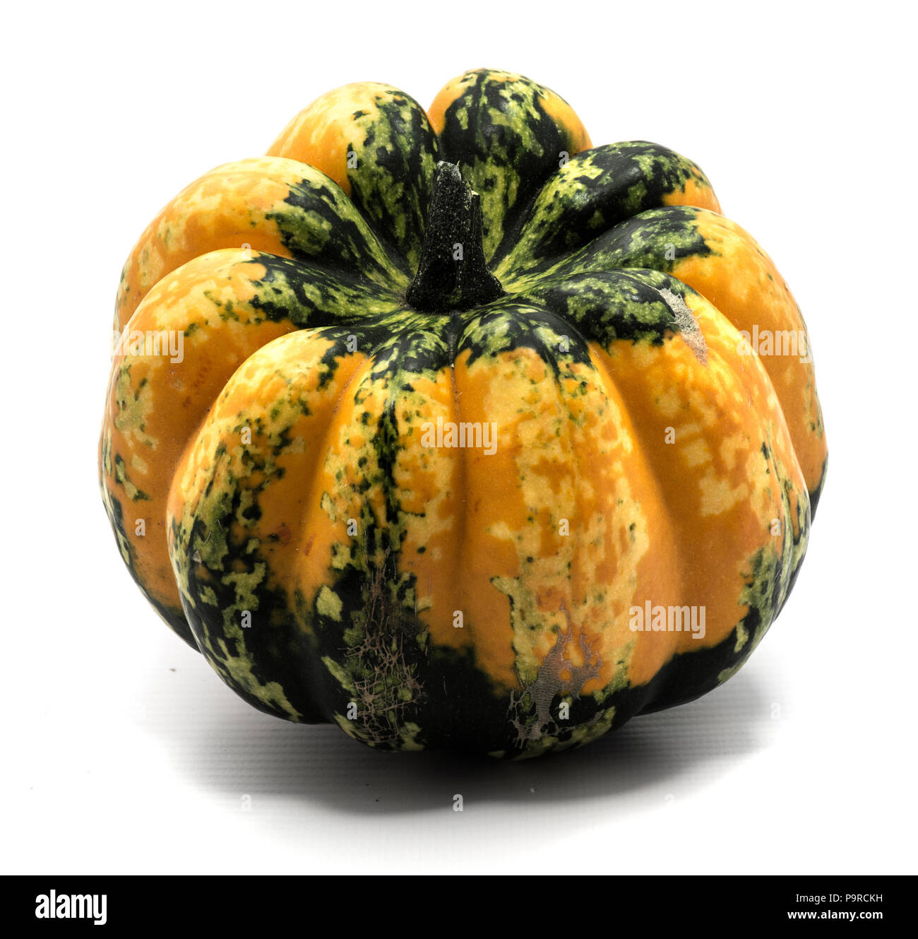 One whole colorful pumpkin (spotty dark green yellow) isolated on white ...