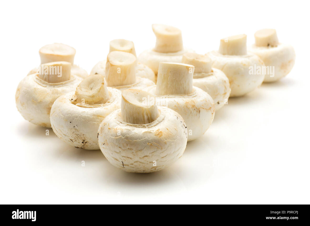 Folded champignons hi-res stock photography and images - Alamy