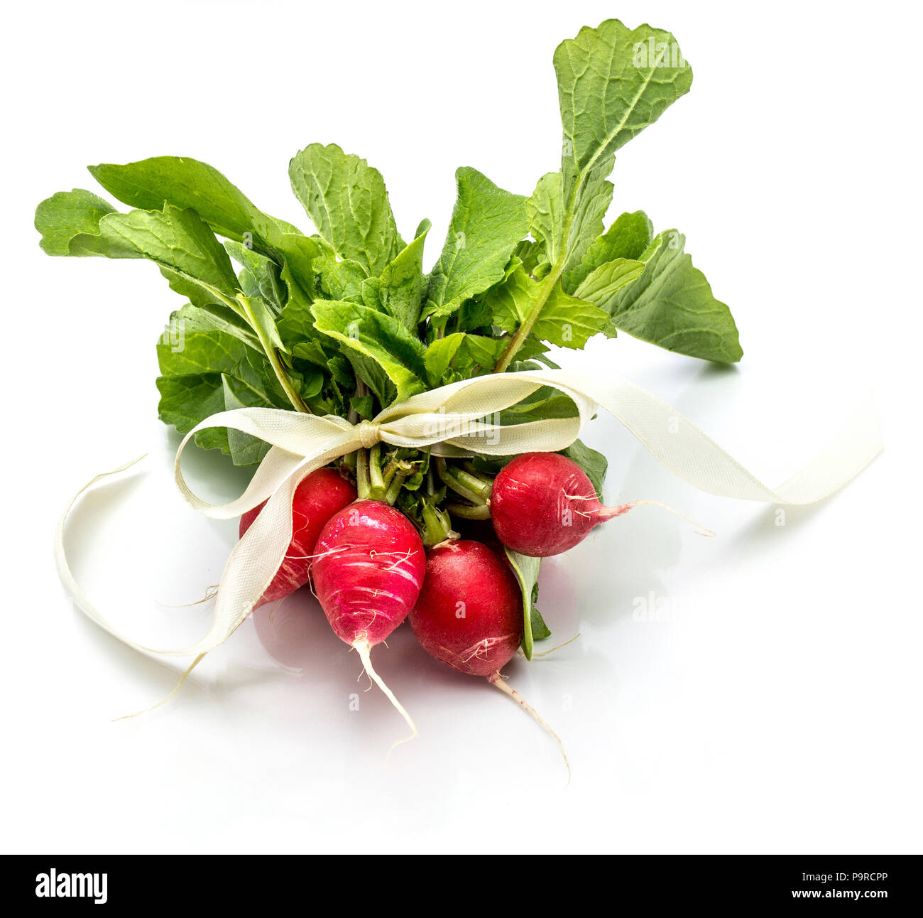 Bunch of whole red radish with fresh green leaves tied by ivory bowknot ...