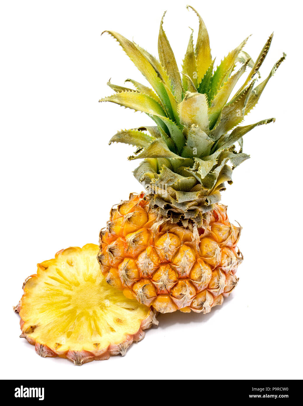 Fresh round pineapple slice and one whole pineapple with green leaves ...