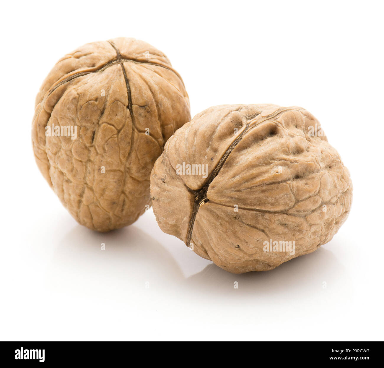 Wrinkly Walnut Shell High Resolution Stock Photography and Images - Alamy