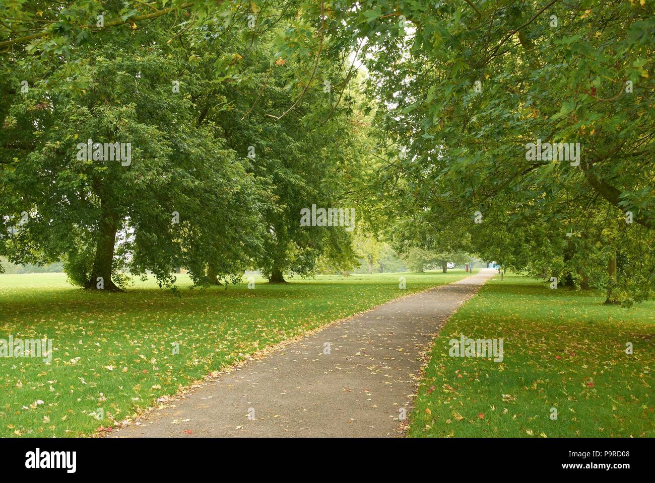Landscapes , Flowers and wildlife Stock Photo - Alamy