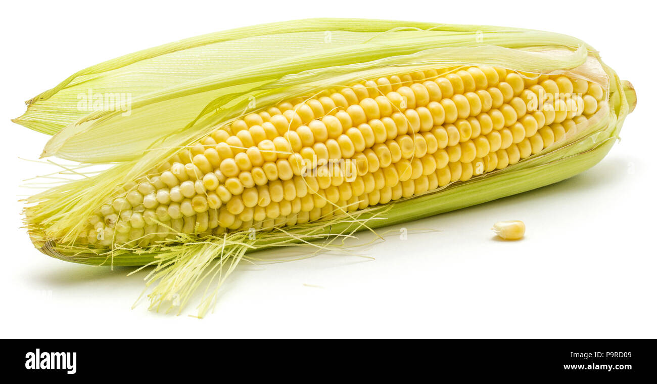 Sweet corn with one separated kernel isolated on white background Stock ...