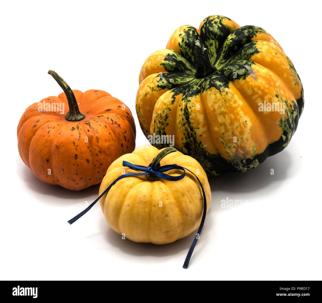 Three whole yellow, orange and spotty green yellow pumpkins with an ...