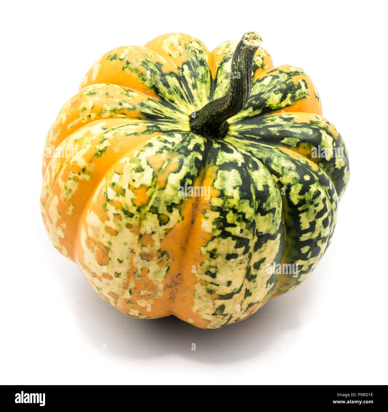 One whole colorful pumpkin (spotty dark green yellow) isolated on white ...