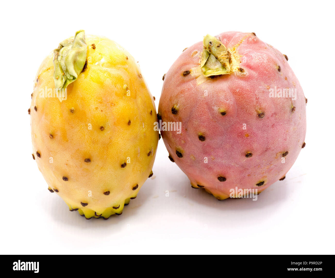 Two whole prickly pears, orange and red isolated on white background ...