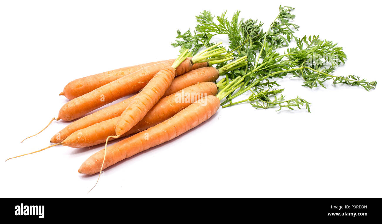 Group of fresh long orange carrots with leaves isolated on white ...