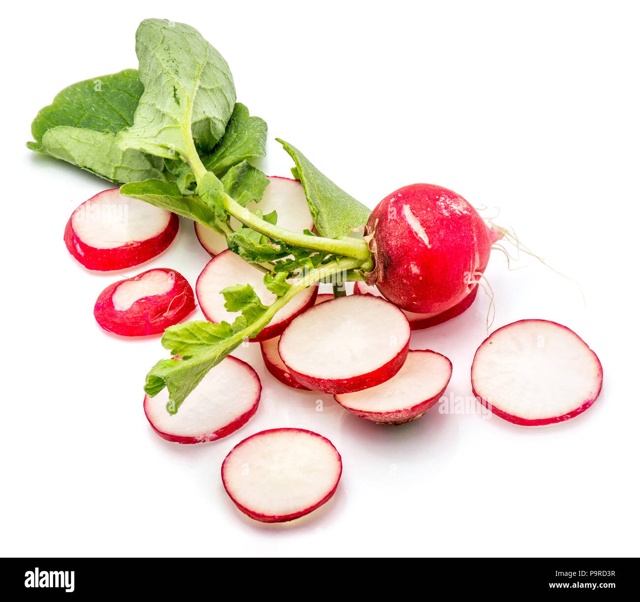 One bulb of red radish with leaves, slices, cut in circles, isolated on ...