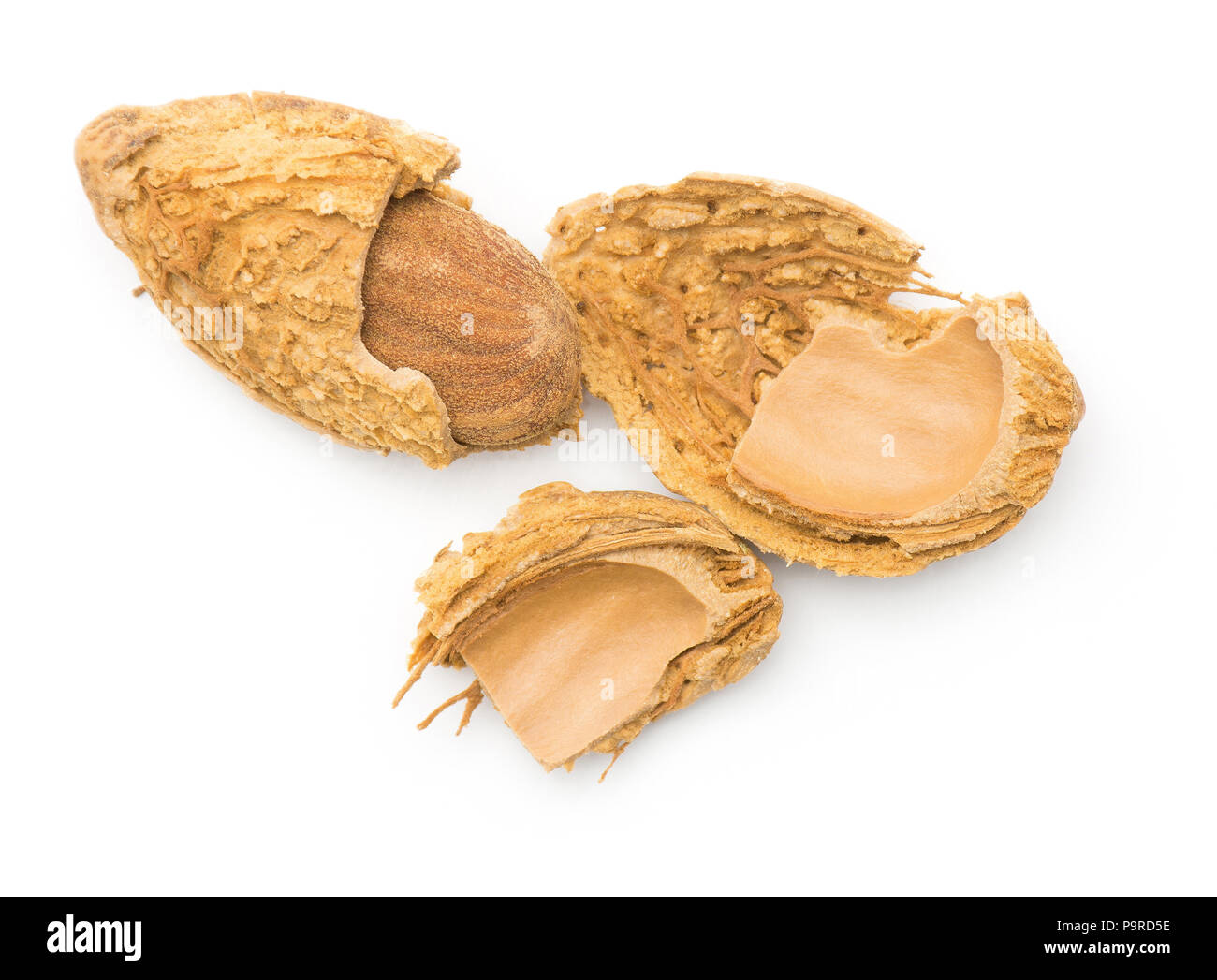 Almond hull kernel shell hi-res stock photography and images - Alamy