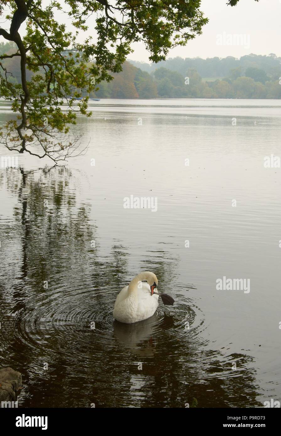 Landscapes , Flowers and wildlife Stock Photo - Alamy