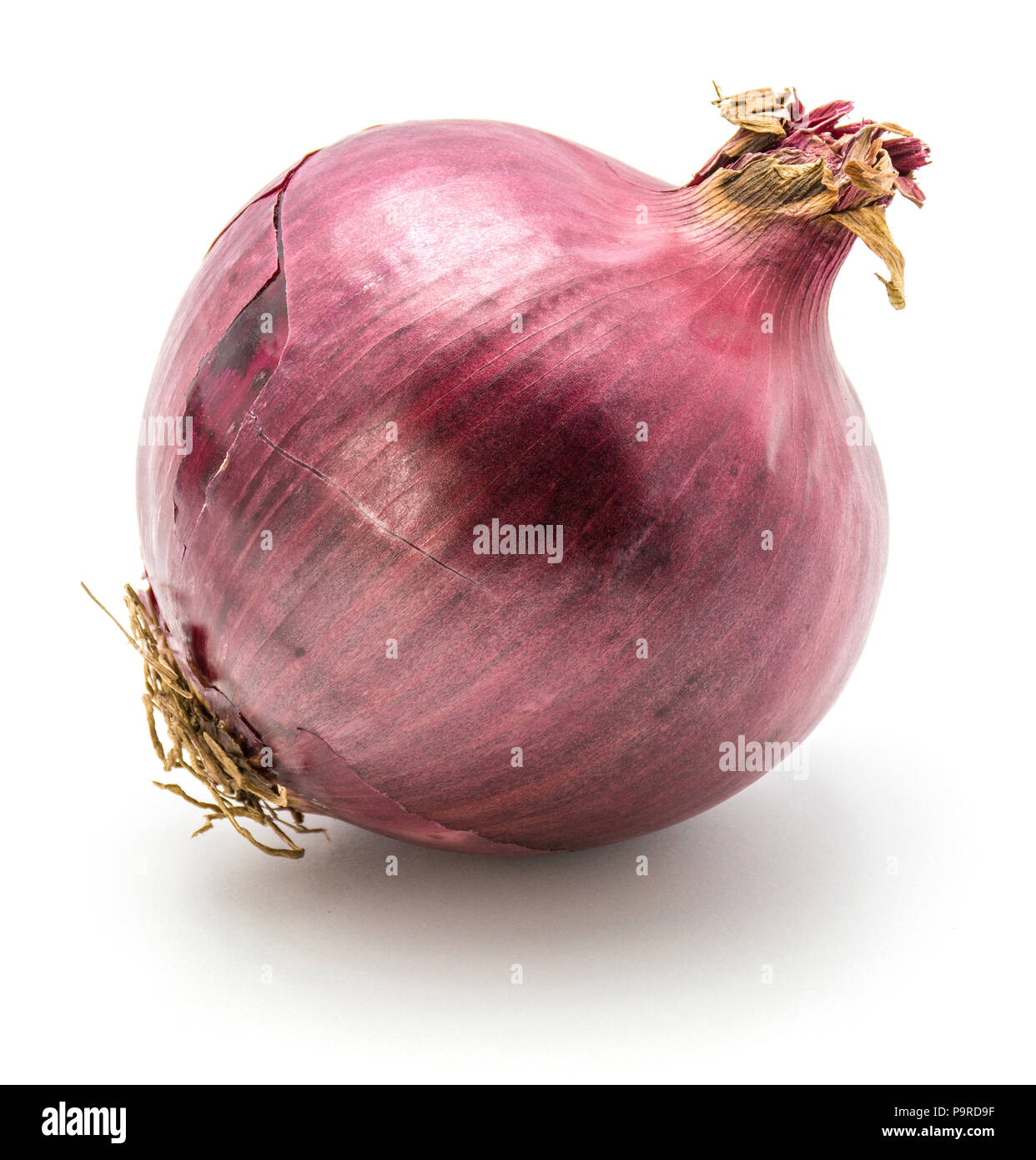 One red onion isolated on white background Stock Photo - Alamy